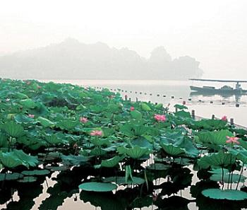 湖北红莲湖 红莲湖 武汉红莲湖 第18页 大山谷图库